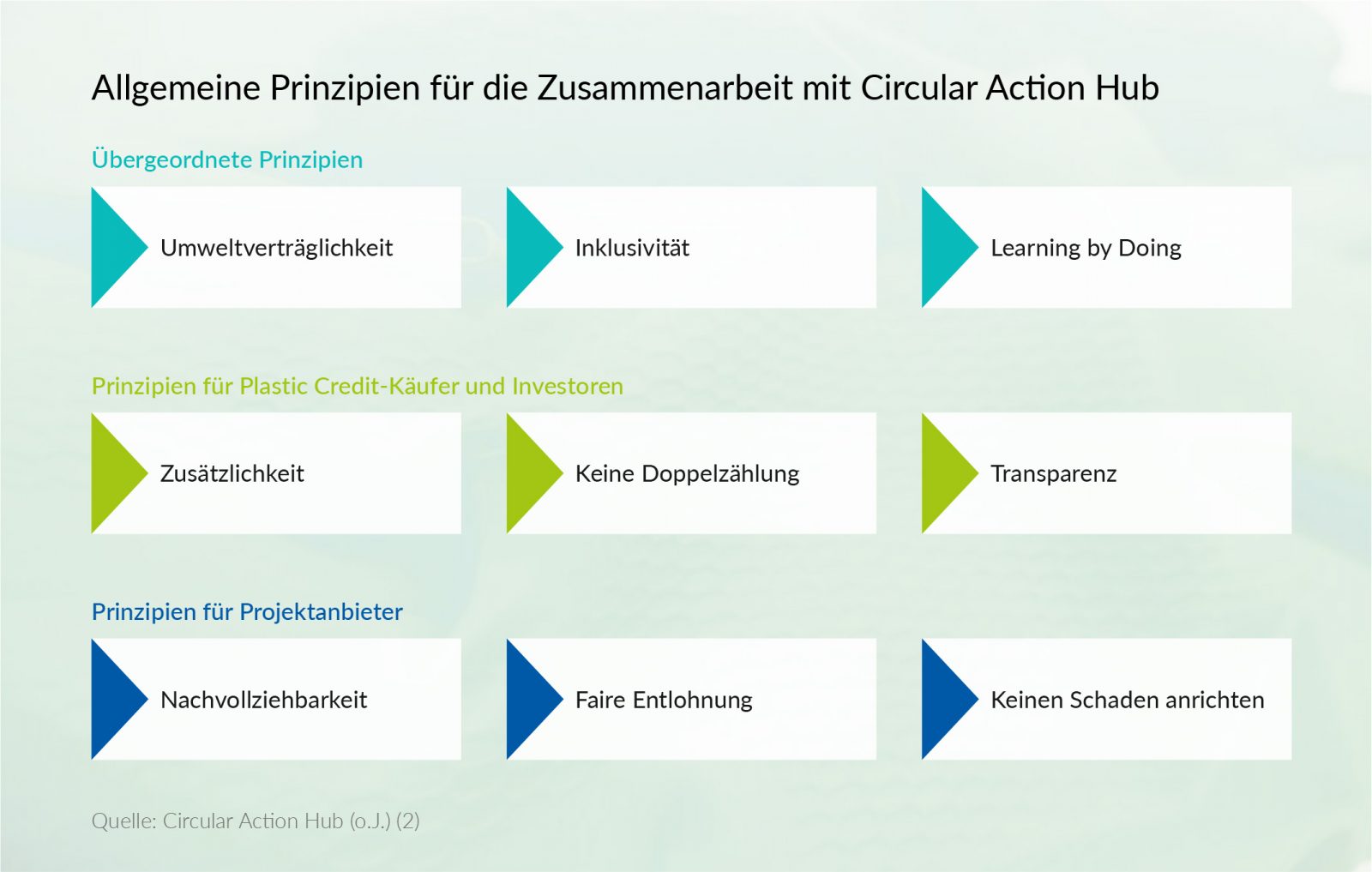 Boutiquen für den Plastik-Ablass - POLYPROBLEM
